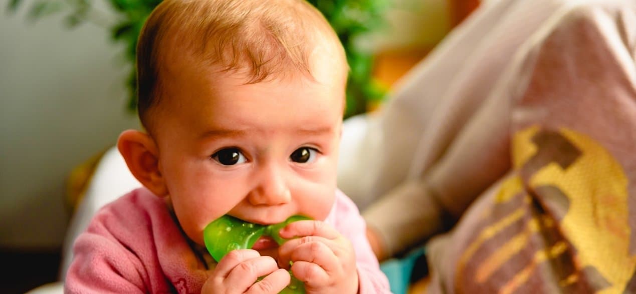 Parent’s Guide to Teething: Tips for Soothing Baby’s Gums